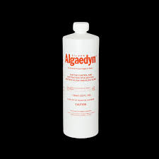 Algaedyn Silver Algae Remover Algaecide 47-600